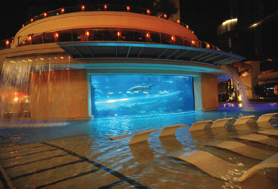 Strange but True Swimming Pools